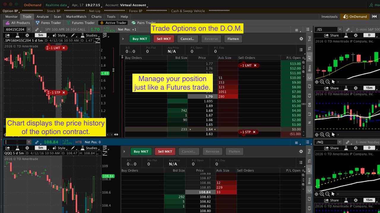 Options - What Are Options and How To Use Them - Traders-Paradise