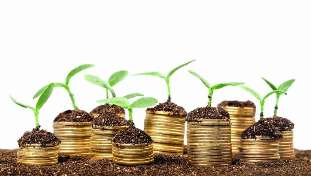 How To Choose An Asset To Invest In? - Traders-Paradise