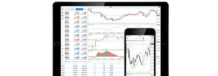 Metatrader or MT4 | Financial Dictionary | Traders Paradise