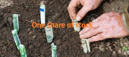 One share of stock, is there benefit of buying one? How many is enough?