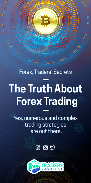 How to Find Dividend Yield on Stocks' List? - Traders-Paradise